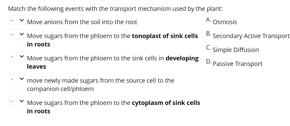 Solved Match the following structures to the tissues they're | Chegg.com