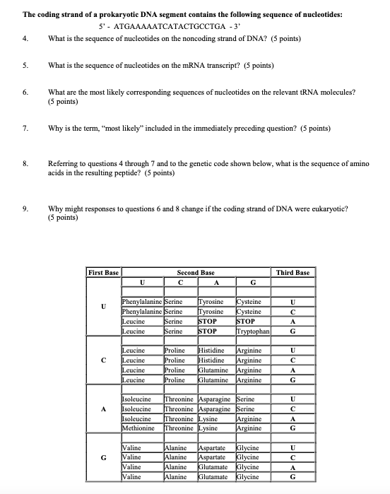 Solved The coding strand of a prokaryotic DNA segment | Chegg.com