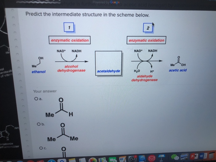 Solved Predict the intermediate structure in the scheme | Chegg.com