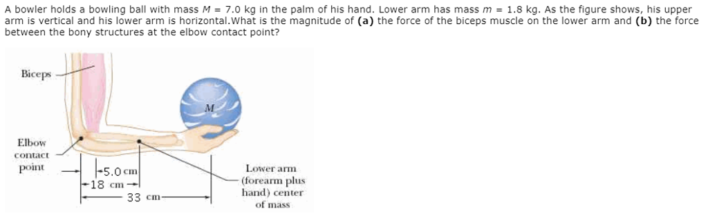 Solved A bowler holds a bowling ball with mass M 7.0 kg in | Chegg.com
