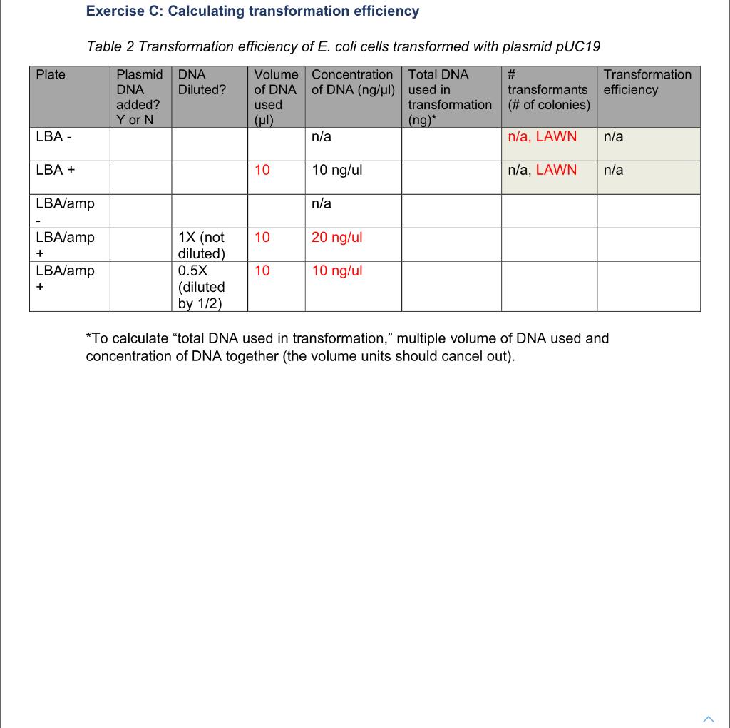 Solved Table 2 Transformation efficiency of E. coli cells | Chegg.com