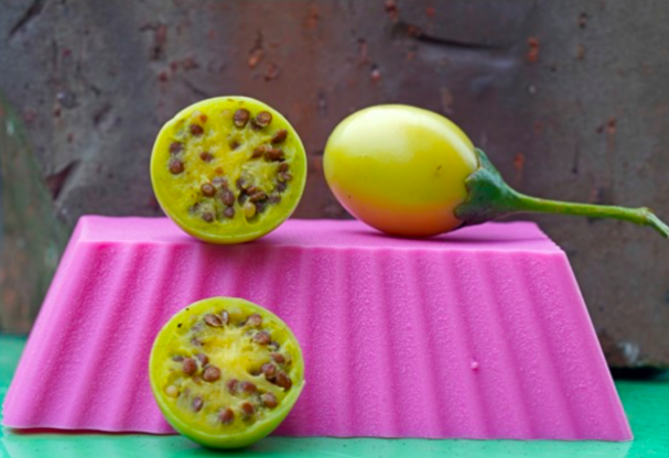 Solved Examine the photos of the fruits below. Both sets of | Chegg.com