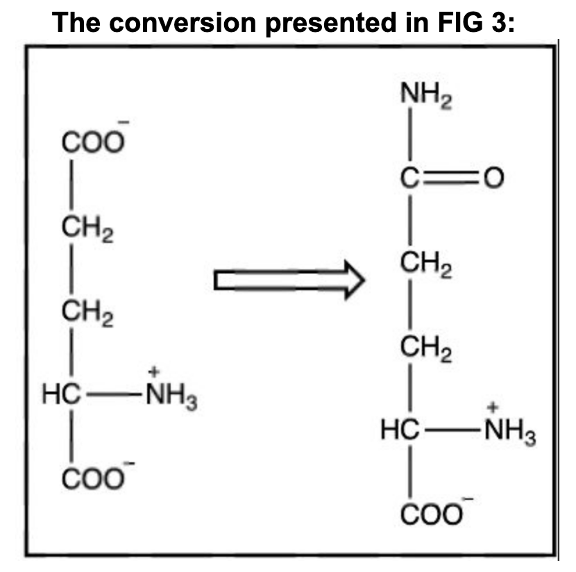 Solved The conversion presented in FIG 3: NH2 coo FO CH2 CH2 | Chegg.com