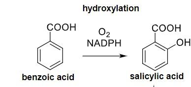 Solved Please provide the curly arrow mechanism of benzoic | Chegg.com