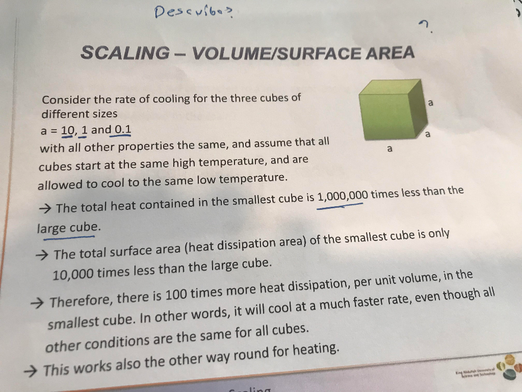 Solved Describes SCALING - VOLUME/SURFACE AREA Consider the | Chegg.com