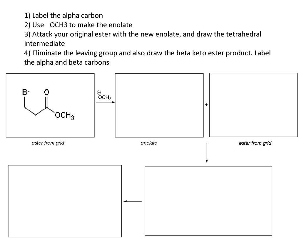 Solved 1) Label the alpha carbon 2) Use -OCH3 to make the | Chegg.com