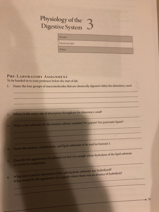 Solved Physiology of the Digestive System Name Instructor | Chegg.com