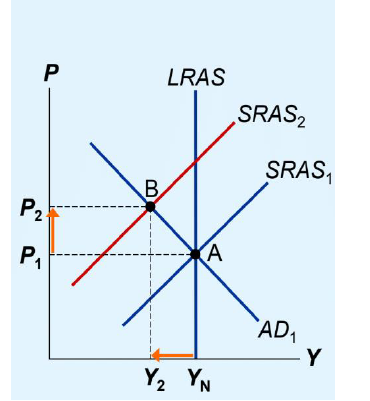 Solved 10. Study the diagram below and answer the questions | Chegg.com