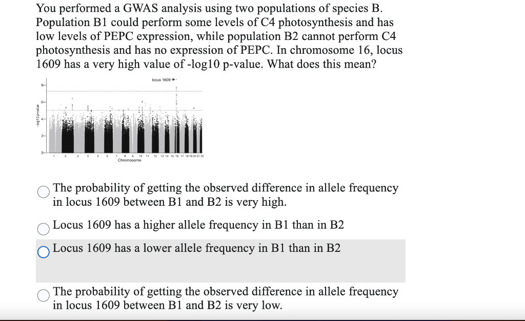 You performed a GWAS analysis using two populations | Chegg.com