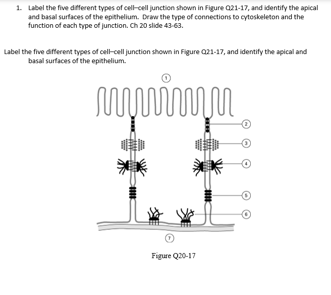 Solved 1. Label the five different types of cell-cell | Chegg.com