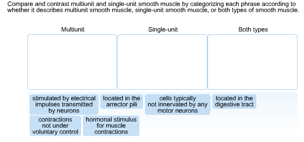 Solved Compare and contrast multiunit and single-unit smooth | Chegg.com