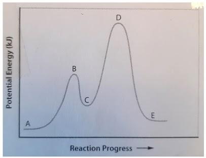 Solved Examine the potential energy diagram shown | Chegg.com