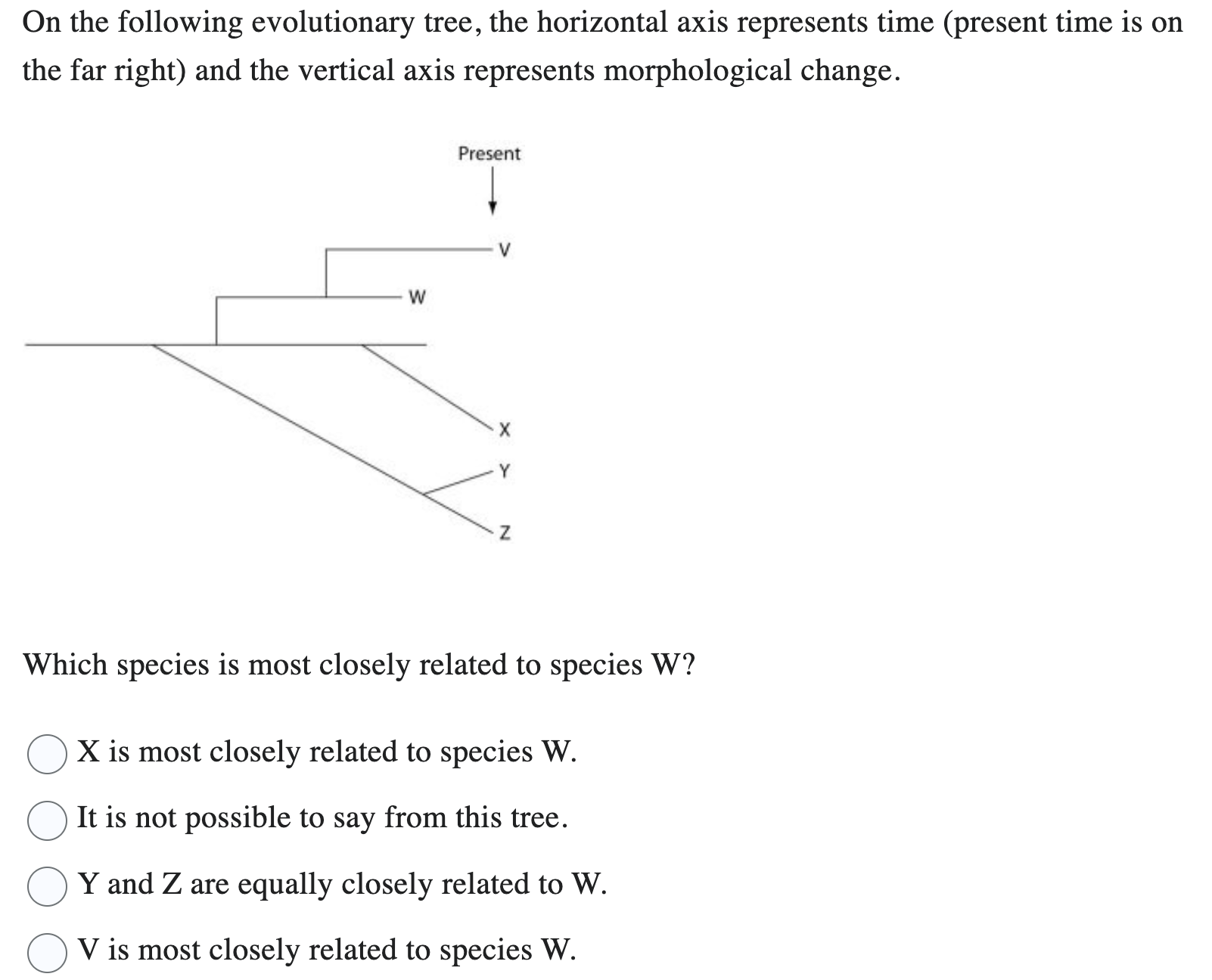 Solved On the following evolutionary tree, the horizontal | Chegg.com