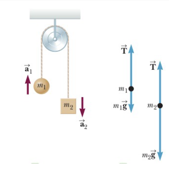 Solved Two objects of mass m1 and m2, with m2 > m1, are | Chegg.com
