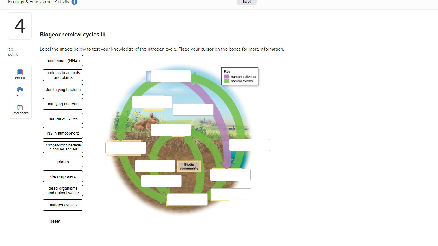 Solved Ecology & Ecosystems Activity i Saved 4 | Chegg.com