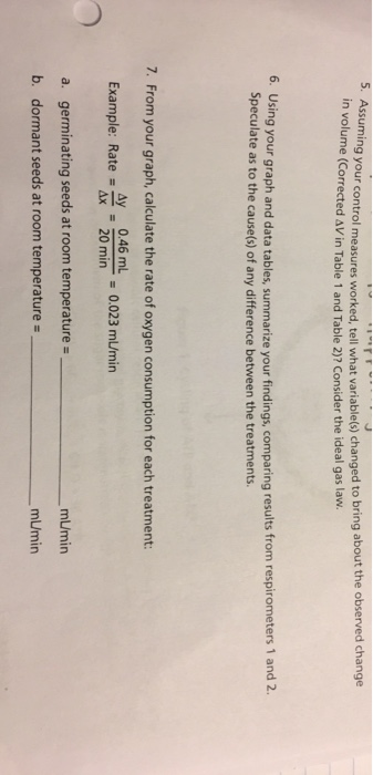 Cellular Respiration Lab Ap Biology