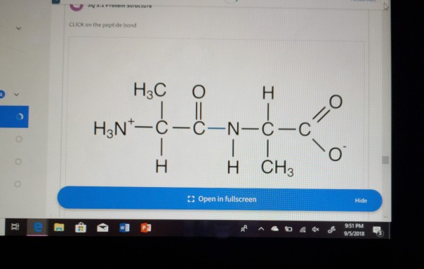 Solved CLICK on the peptide bond H3C O N-CC-N-C-C H CH3 Hide | Chegg.com