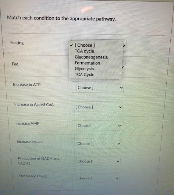 Solved Match each condition to the appropriate pathway. | Chegg.com