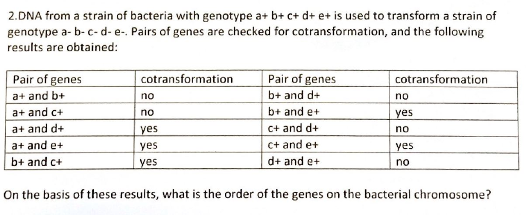 Solved 2.DNA from a strain of bacteria with genotype a+ b+ | Chegg.com