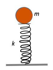 Solved In the physics lab, you put a spring in vertical | Chegg.com