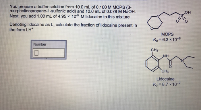Solved You prepare a buffer solution from 10.0 mL of 0.100 M | Chegg.com