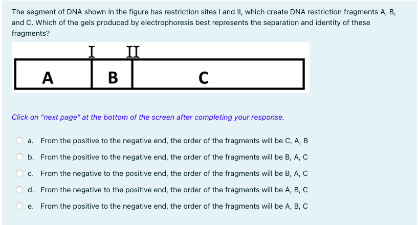 Solved The segment of DNA shown in the figure has | Chegg.com
