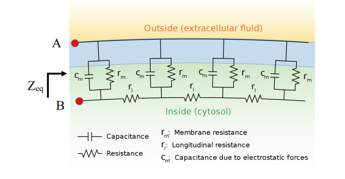 Solved The circuit diagram in Figure 6 shows a circuit model | Chegg.com