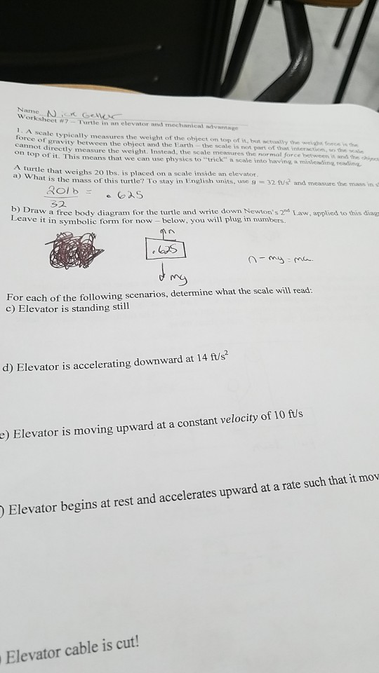 Solved Worksheet #7-Turtle in an elevator and mechanical | Chegg.com