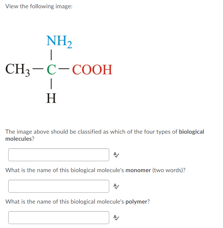 Solved NH OH -NH, OH NH OH Courtesy of Sponk OH OH The image | Chegg.com