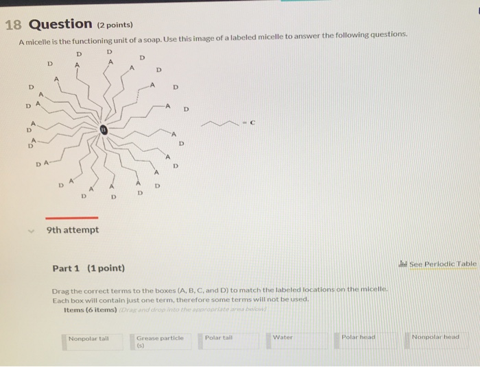 Solved 18 Question (2 points) A micelle is the functioning | Chegg.com