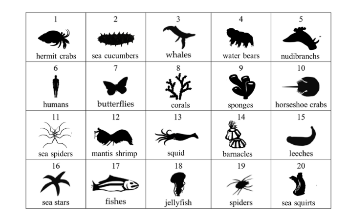 Solved Draw a tree diagram to show the relationships between | Chegg.com