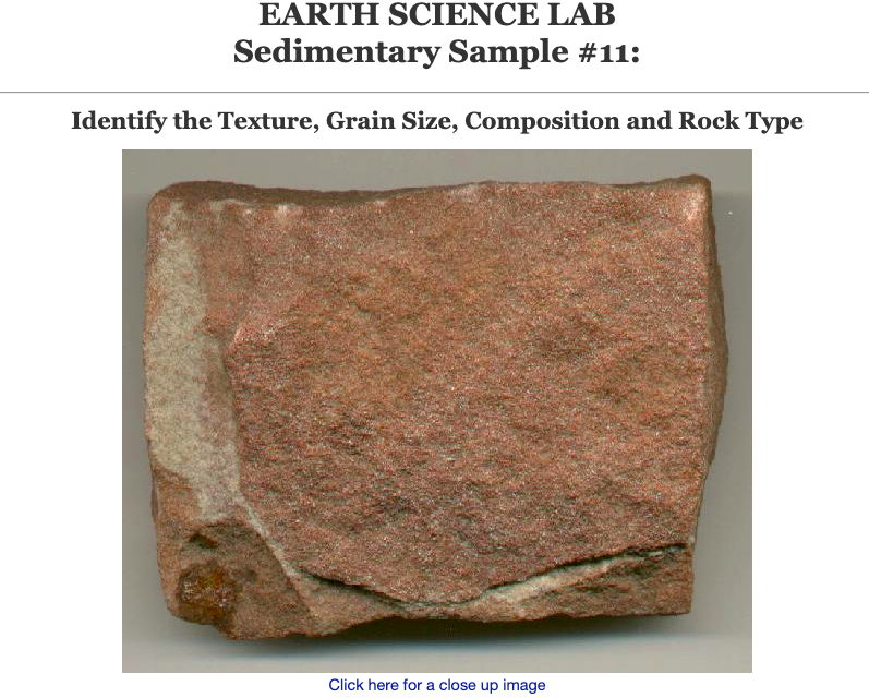 Solved EARTH SCIENCE LAB Sedimentary Sample #8: Identify the | Chegg.com