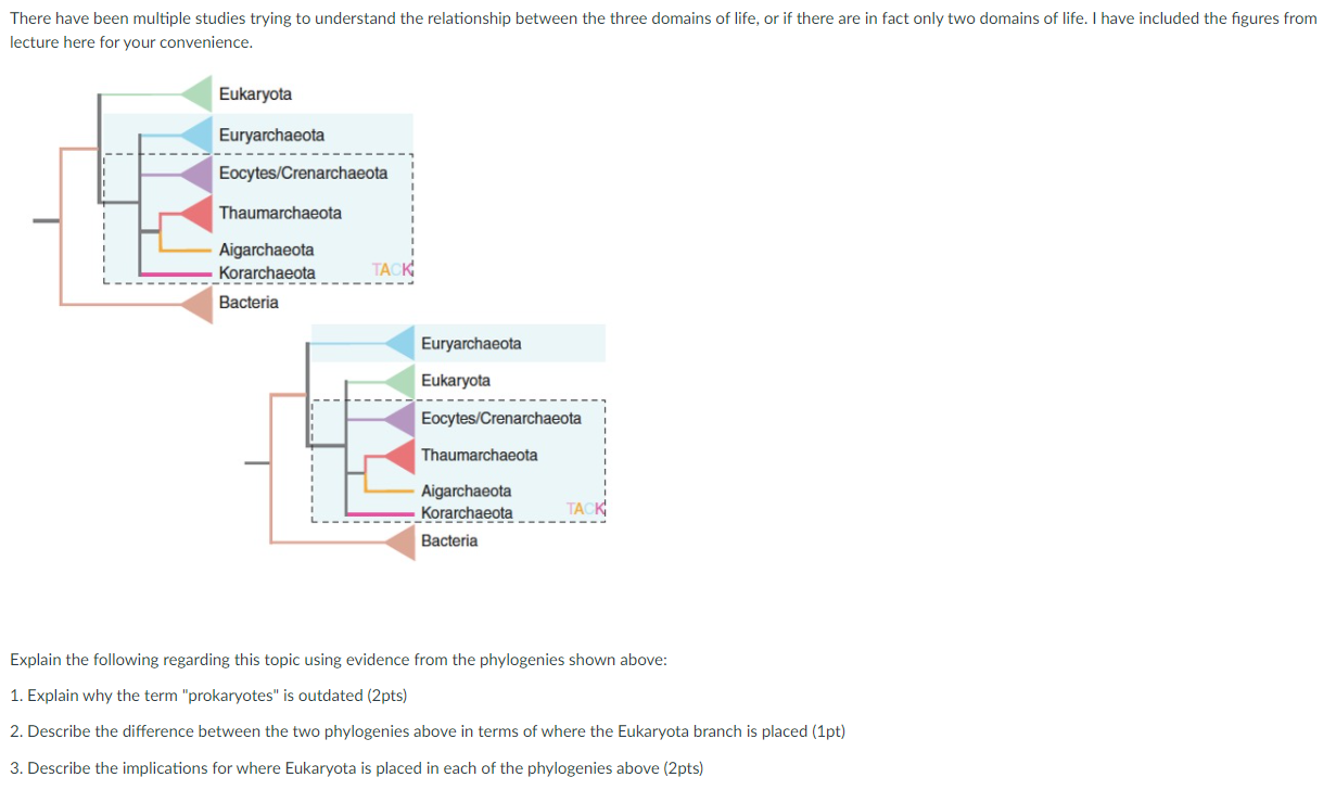 Solved There have been multiple studies trying to understand | Chegg.com