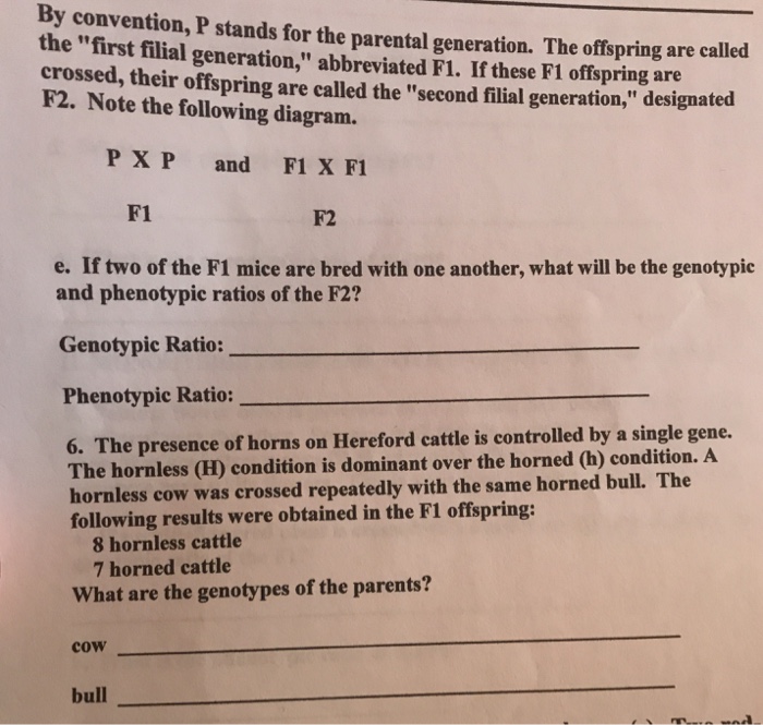 Solved By convention, P stands for the parental generation. | Chegg.com