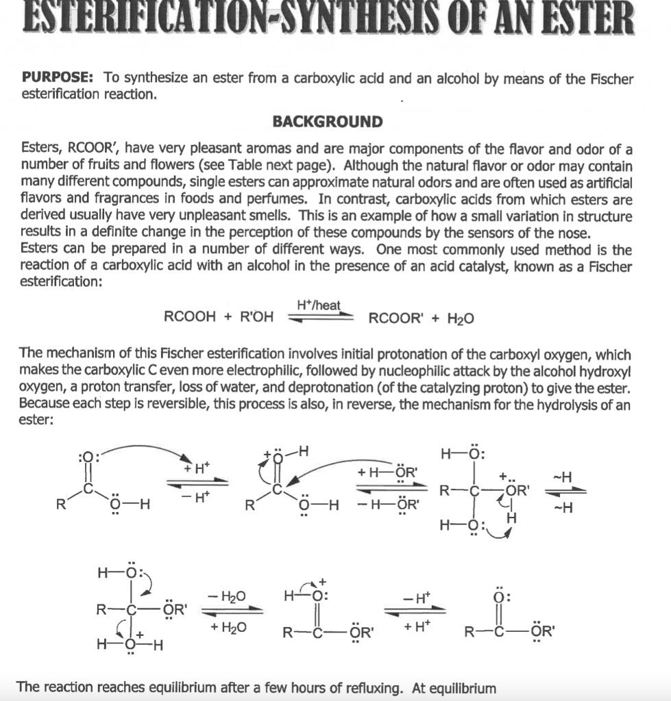 Solved esterifiation synthesis of an ester experiment we | Chegg.com