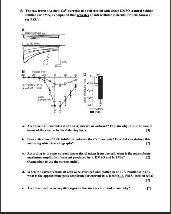 Solved 5. The raw traces (A) show Cat currents in a cell | Chegg.com