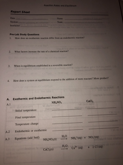 Solved Reaction Rates and Equilibrium Report Sheet Date | Chegg.com Solved Reaction Rates and Equilibrium Report Sheet Date | Chegg.com
