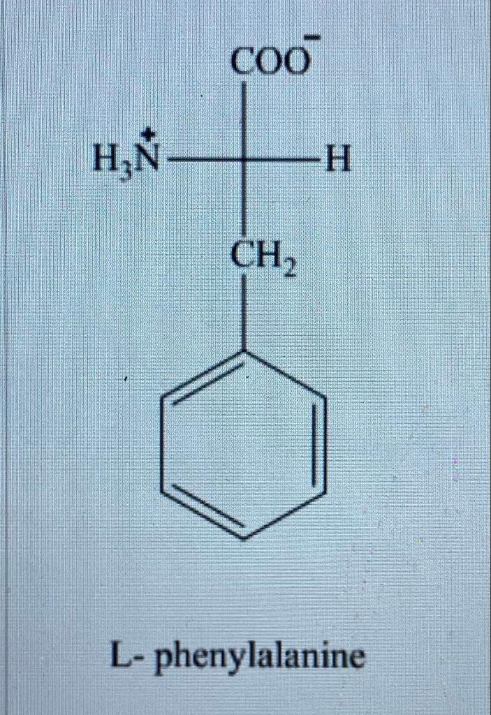 Solved I was wanting to make sure that this is the correct | Chegg.com