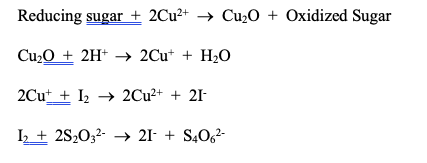 Solved Reducing sugar +2Cu2+→Cu2O+ Oxidized Sugar | Chegg.com