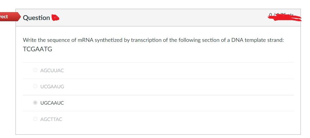 Solved Write the sequence of mRNA synthetized by | Chegg.com