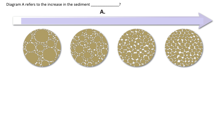 Solved Diagram A refers to the increase in the sediment A. | Chegg.com