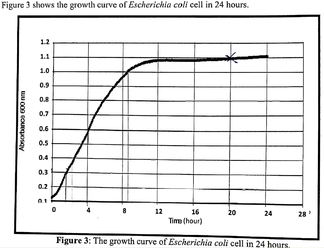 Solved Based on the growth curve above, (a) Calculate the | Chegg.com