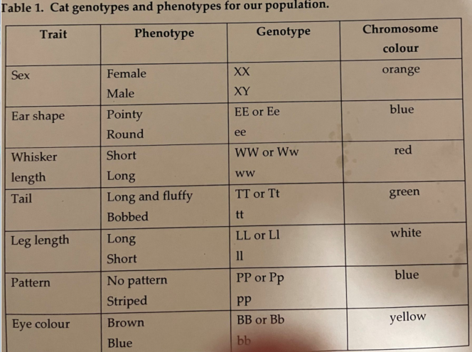 Solved Table 1. Cat genotypes and phenotypes for our | Chegg.com