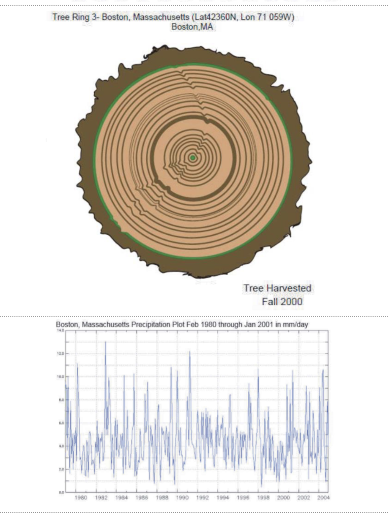 Solved Task 1: Tree Ring Analysis (20 points) In your | Chegg.com
