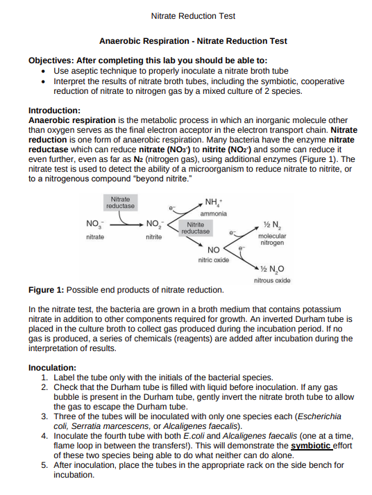 Solved Nitrate Reduction Test Anaerobic Respiration - | Chegg.com