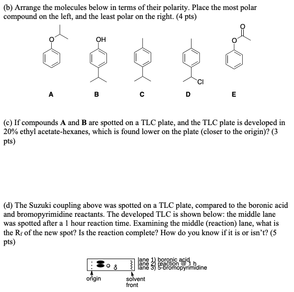 Solved 2. TLC questions (14 pts) (a) What is the white | Chegg.com