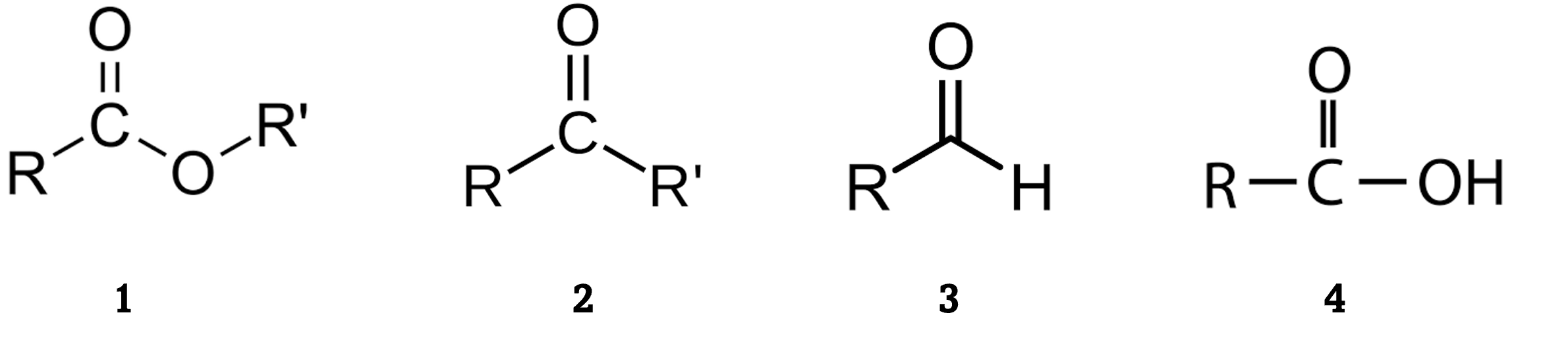 Solved What is the general structure of a ketone? | Chegg.com