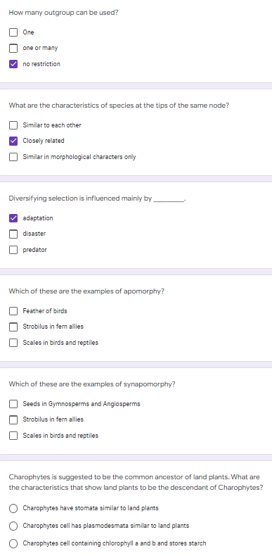 Solved How many outgroup can be used? One one or many no | Chegg.com