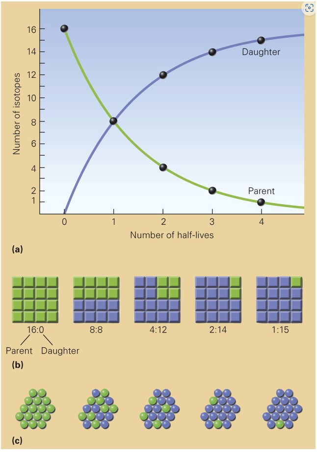 Solved (a)TABLE 10.1 Isotopes Used in the Isotopic Dating of | Chegg.com