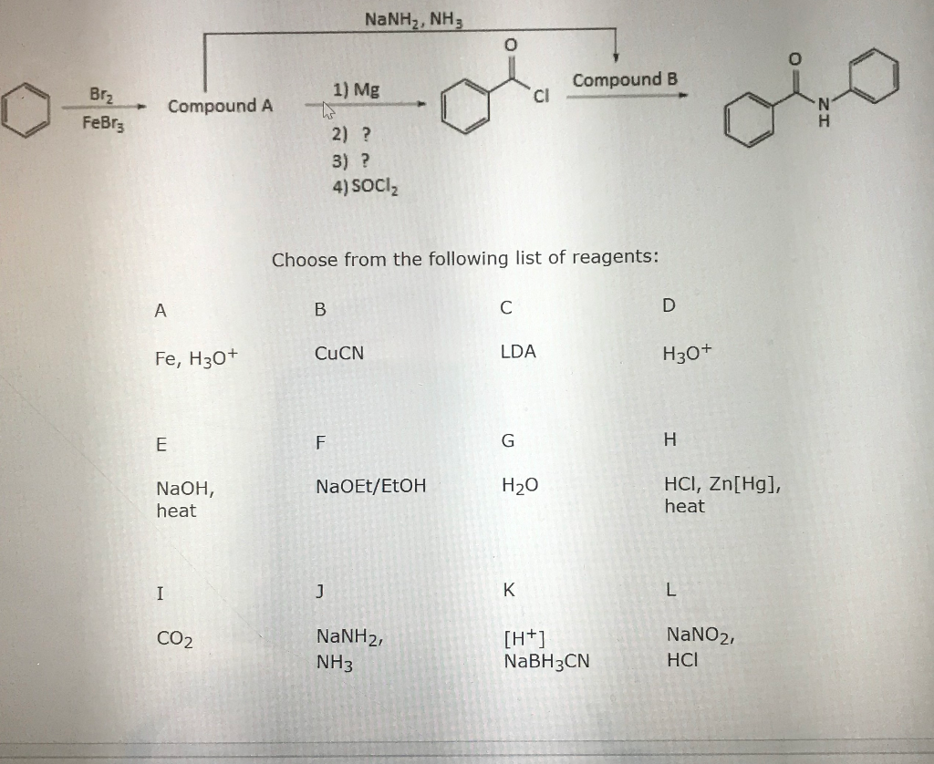 Solved NaNH2, NH Compound B 1) Mg Br Cl Compound A FeBr 2)? | Chegg.com